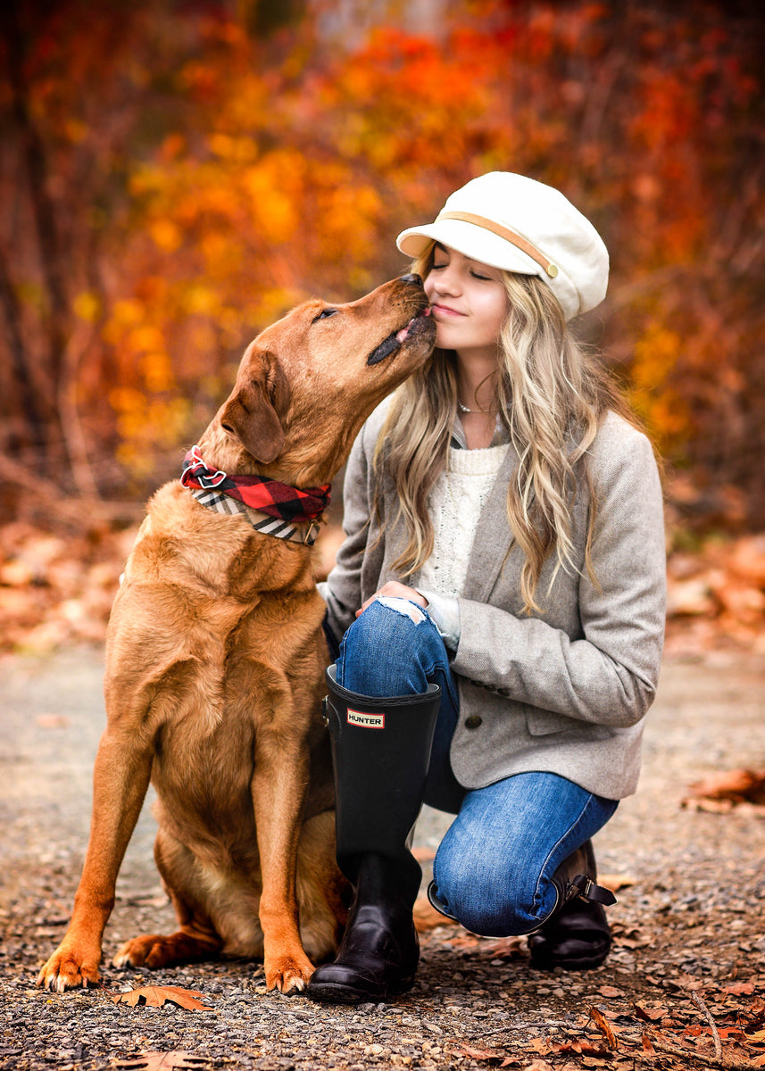 Holiday Gifts – Page 2 – Kendall Wags